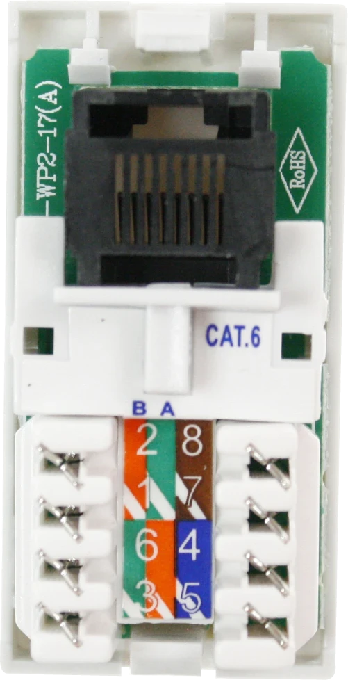 RJ45 Socket CAT6 Module 25 x 50mm Black – Go Magpie – Trusted brands ...
