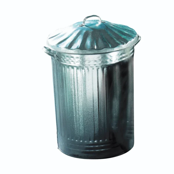 Brushware 450mm Galvanised Steel Dustbin & Lid – Go Magpie – Trusted ...